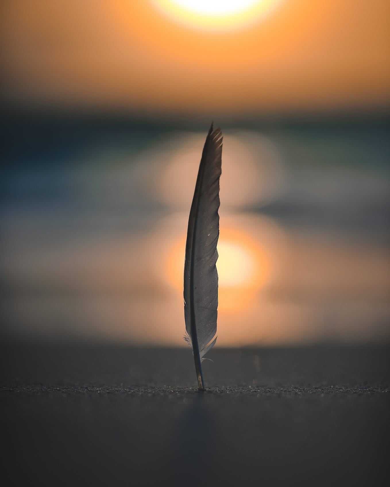 Look Into My Eyes. The eyes expose the soul; when you gaze… | by ...