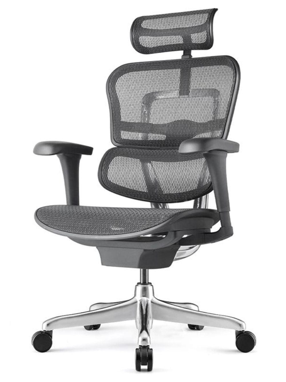 Ergohuman chair - IFCO Ltd - Medium