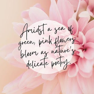 Best 30 Peace Quotes to Inspire Harmony and Unity | by ...