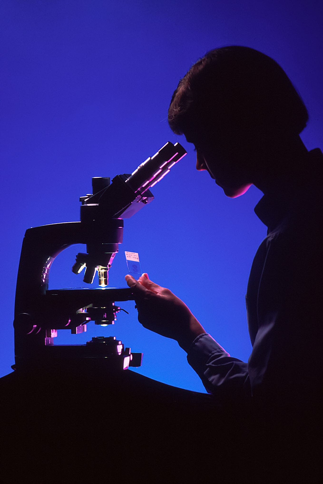 Dr Thomas Seyfried’s Metabolic Therapy Cancer Protocol | by Lee ...