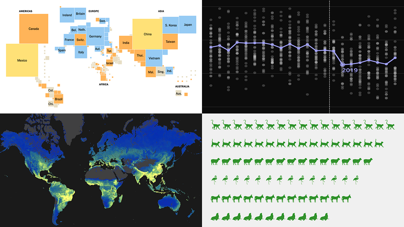 Best Data Visualizations of 2024 | Data Visualization Weekly