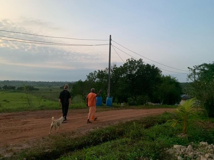 Living Sculptures — breathing life into the Anthropocene | by Elizabeth ...