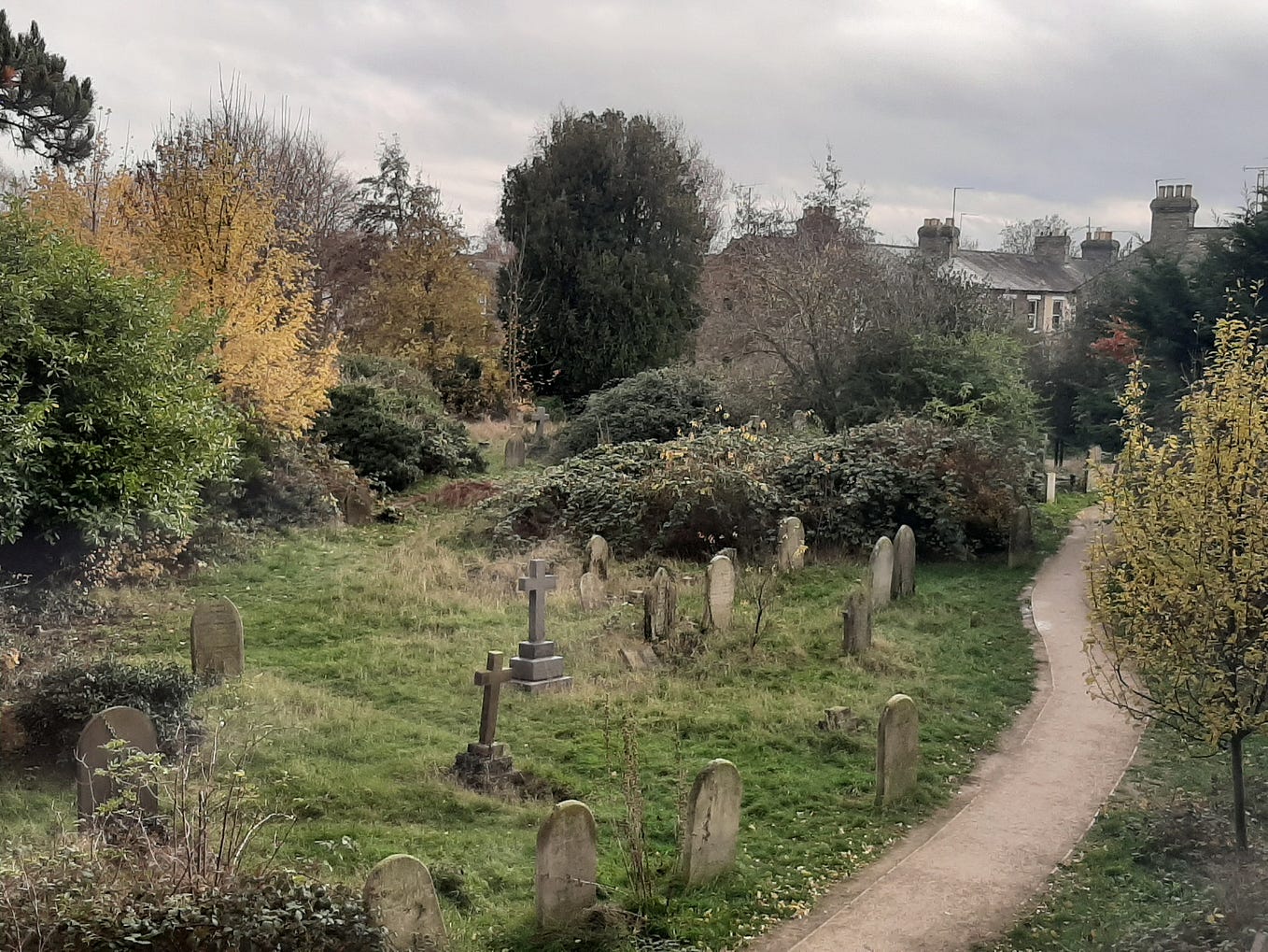 Have You Done Your Fajr Prayer?. It’s already dawn. Wake up. Don’t miss… | by Safira Paramita ...