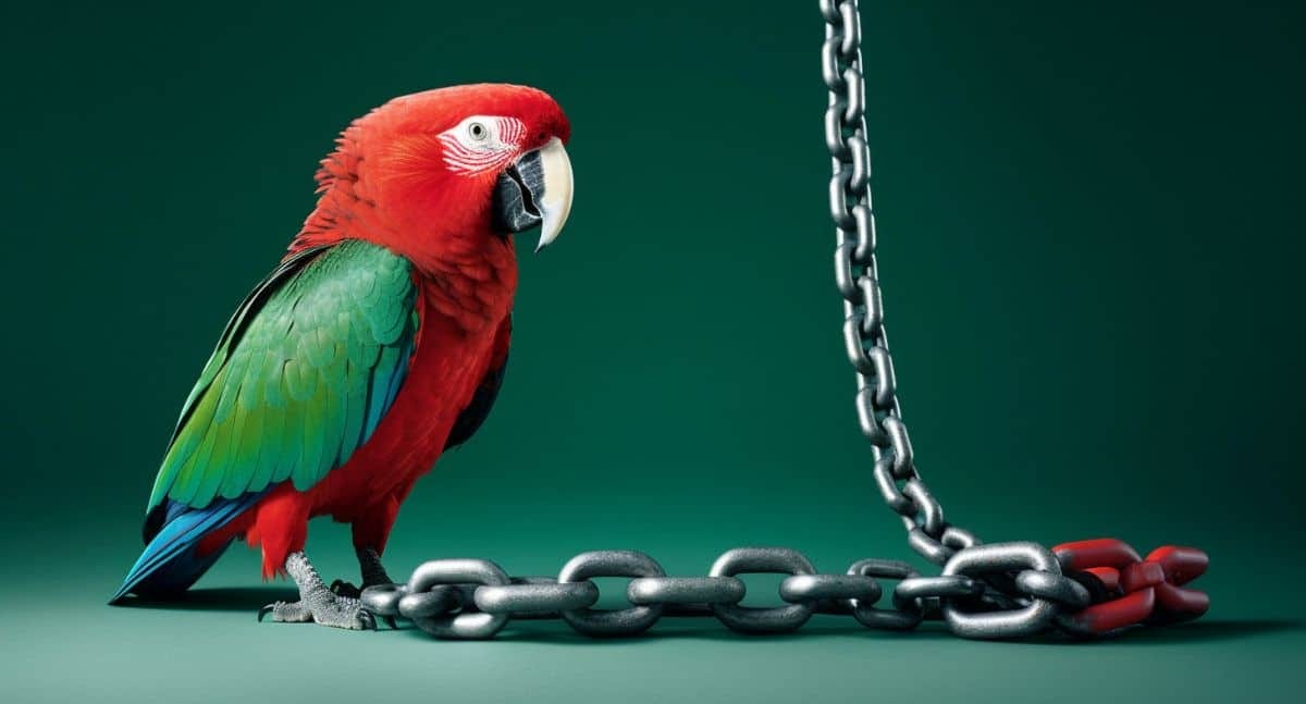 Building a Transformer Model from Scratch: Introducing KantaiBERT | by ...