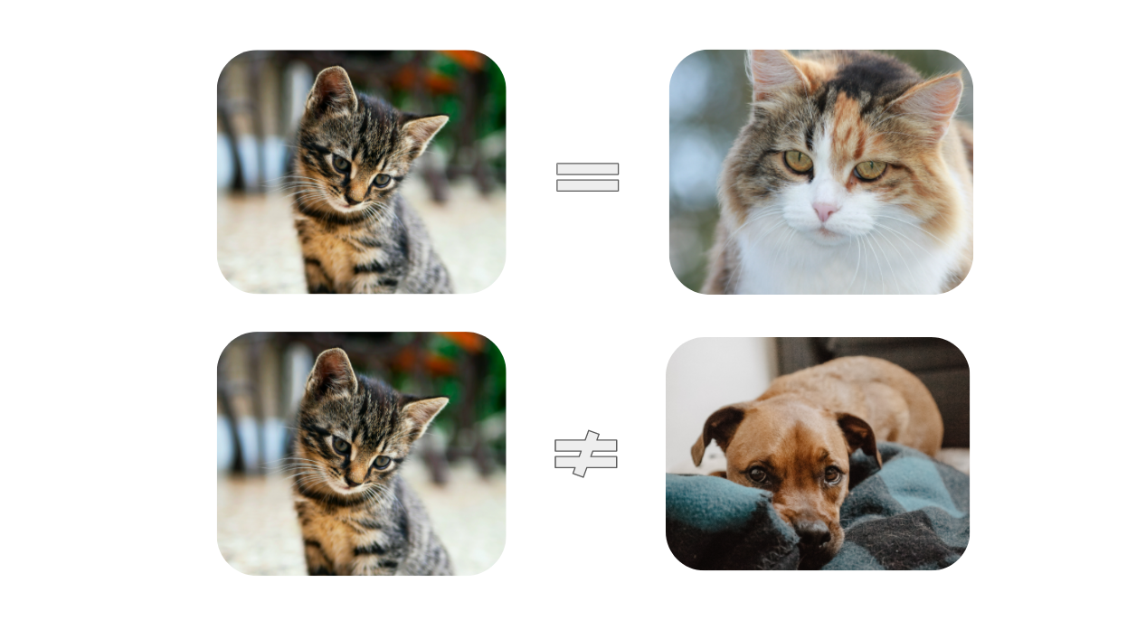 Teachable Machine Tutorial To Create Your Own Machine Learning Models Tensorflow Tensorflow 8095
