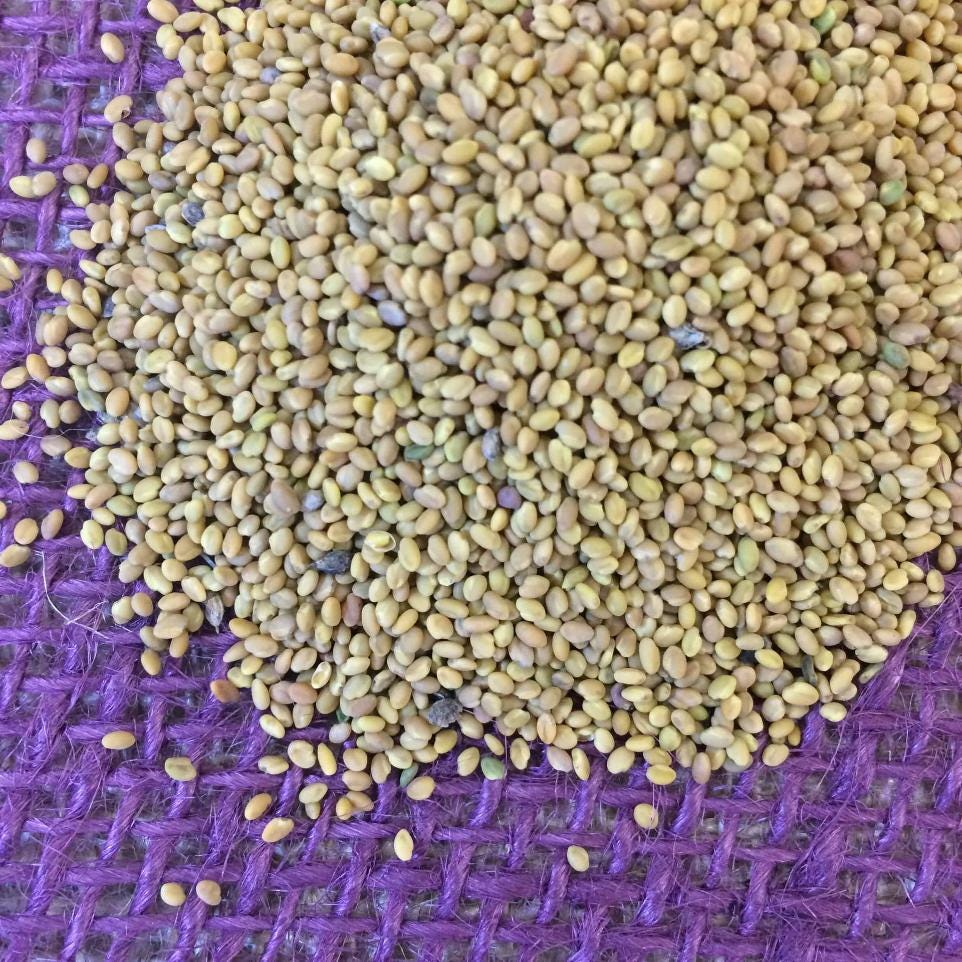 Food Plot Magic: Boost Your Harvest - Douglass King Seeds - Medium