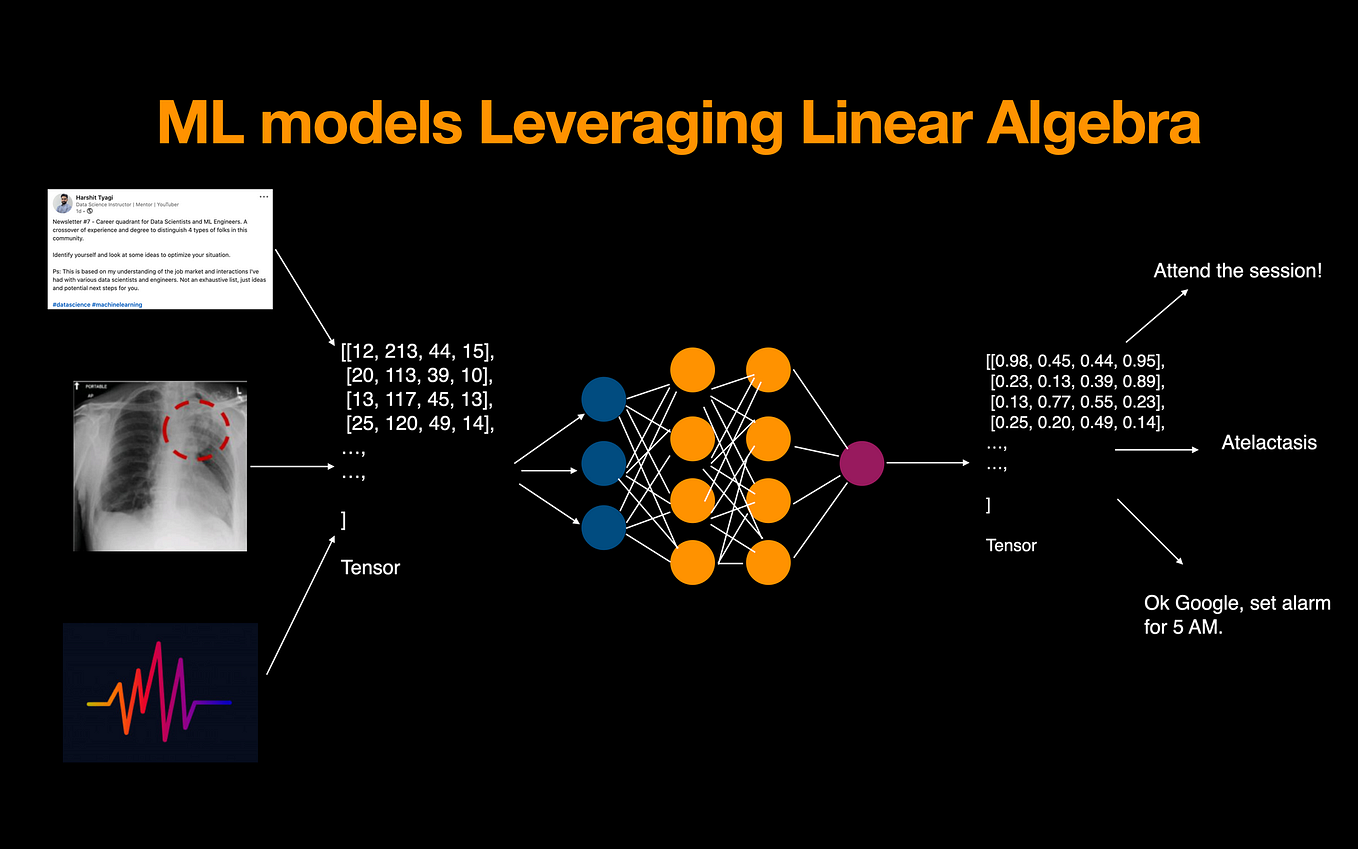 Newton’s Laws of Motion: The Original Gradient Descent | by Rodrigo Silva | Towards Data Science