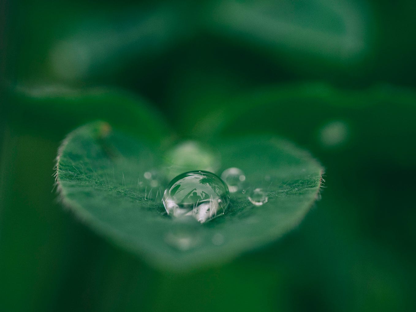 Getting Started With Flask — Your First Flask Application Part 17
