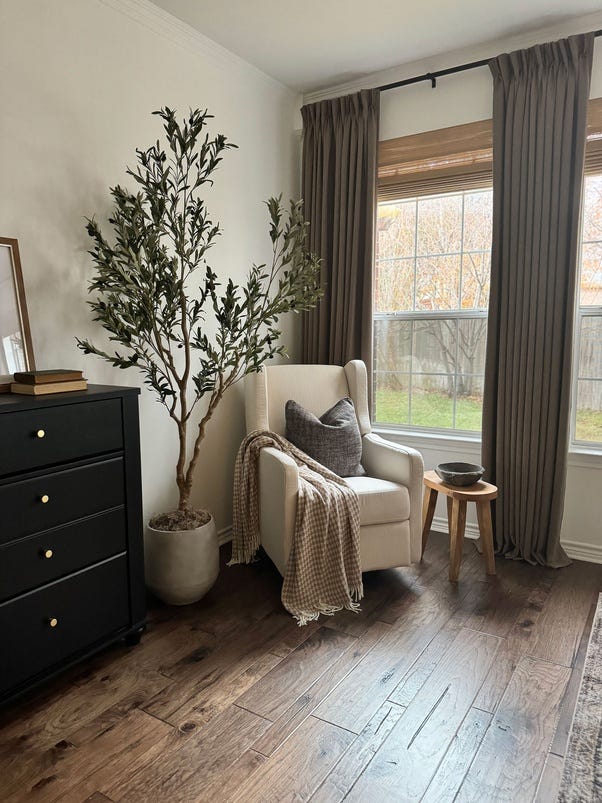 Embrace Fall with Olive Trees. With the arrival of fall, our homes ...
