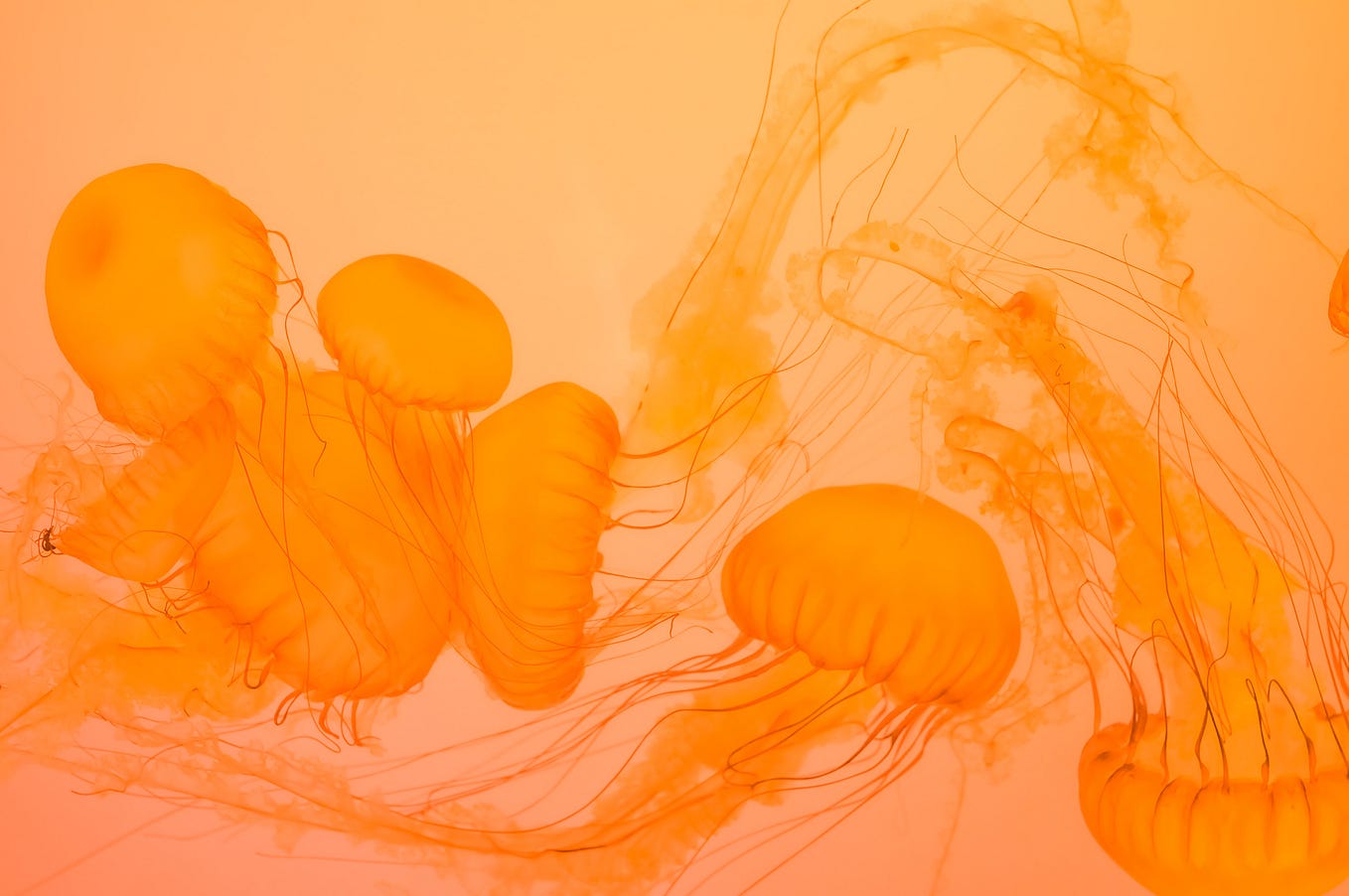 Top 7 Dynamic Online Visualization Websites For Data Structures Medium