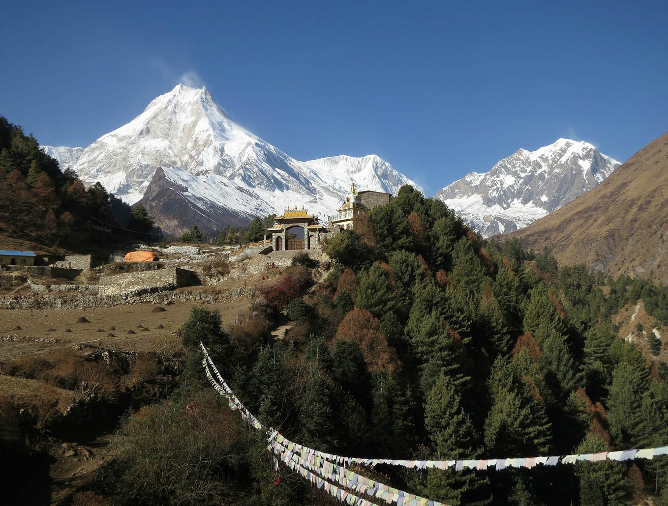 Nature Explore Trek. This special occasion may fulfill all… | by Nature ...