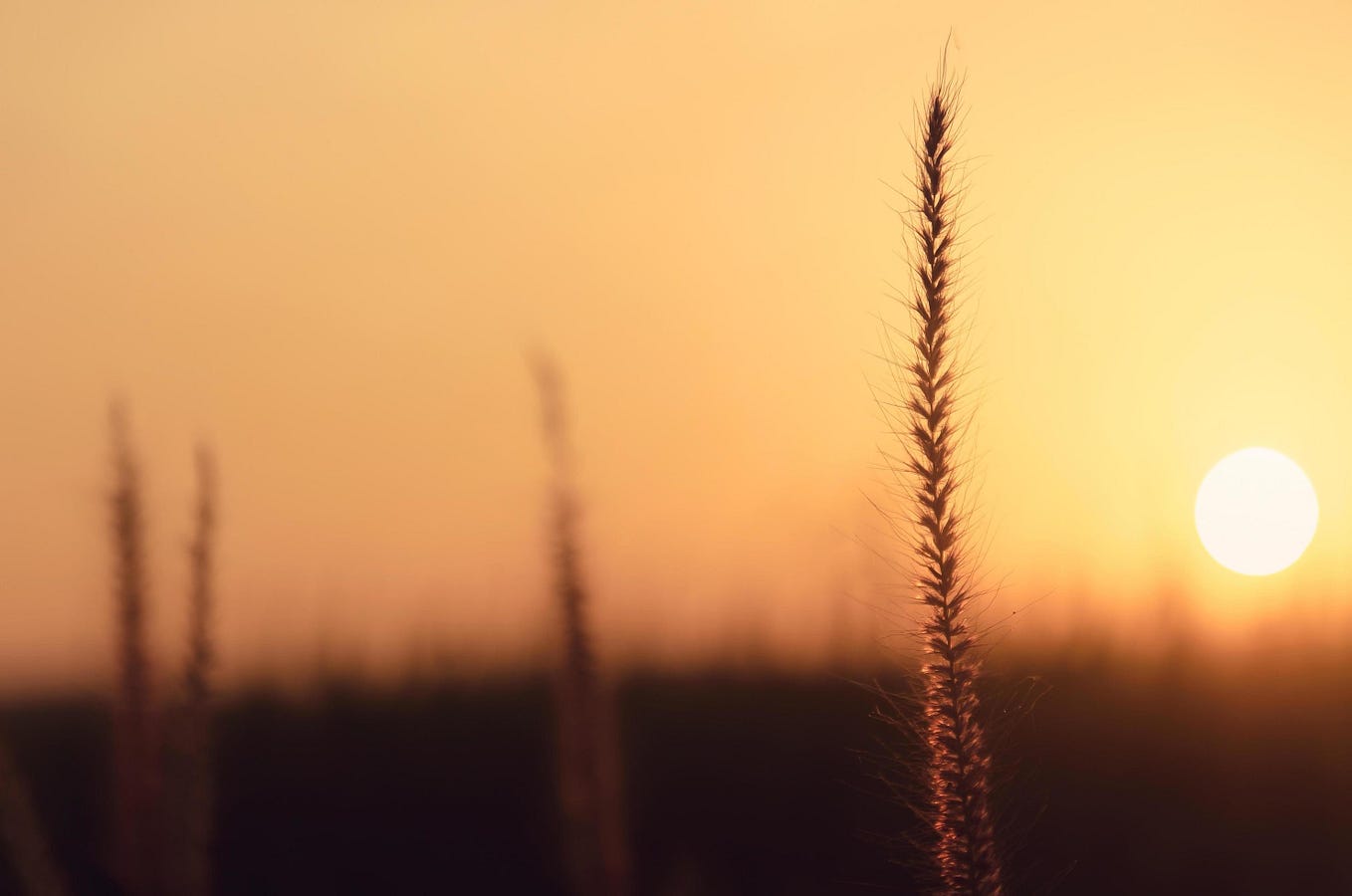 Confusion 101: What Is Clarity?. We say we are confused, that we don’t ...