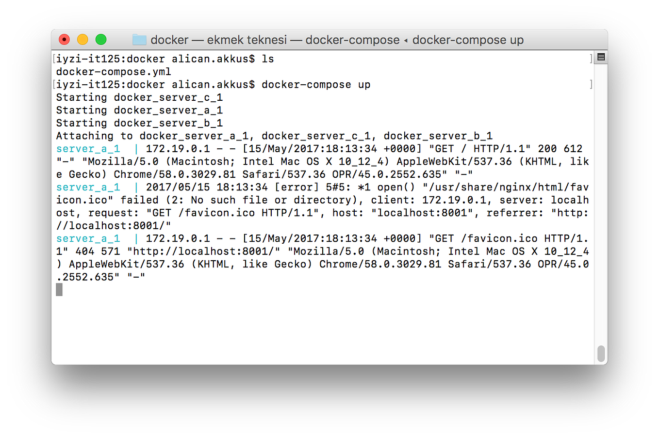 Docker Compose Network. In this article, we will learn about… | by Alican Akkus | Medium