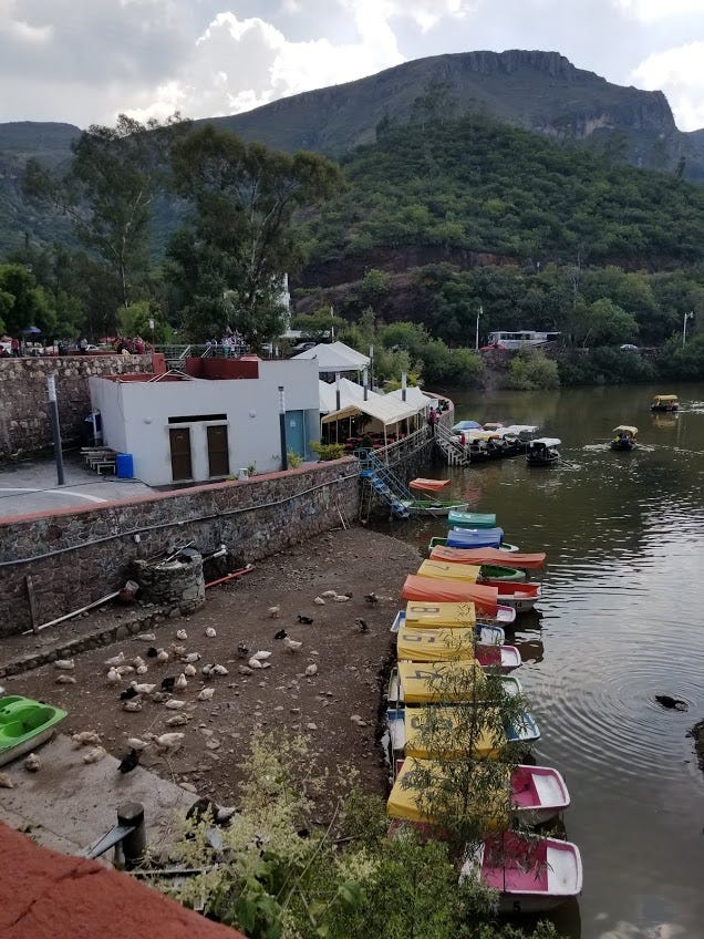 Use Python To Read And Download A Large Csv From A Url By Amiri Mccain Medium