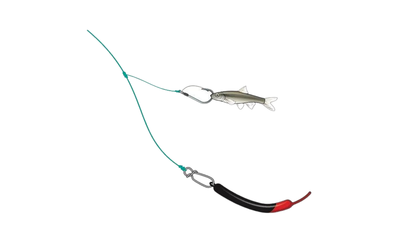 Lake Scugog Fishing, Ontario, Canada | The Fishing Magazine | by Danny ...