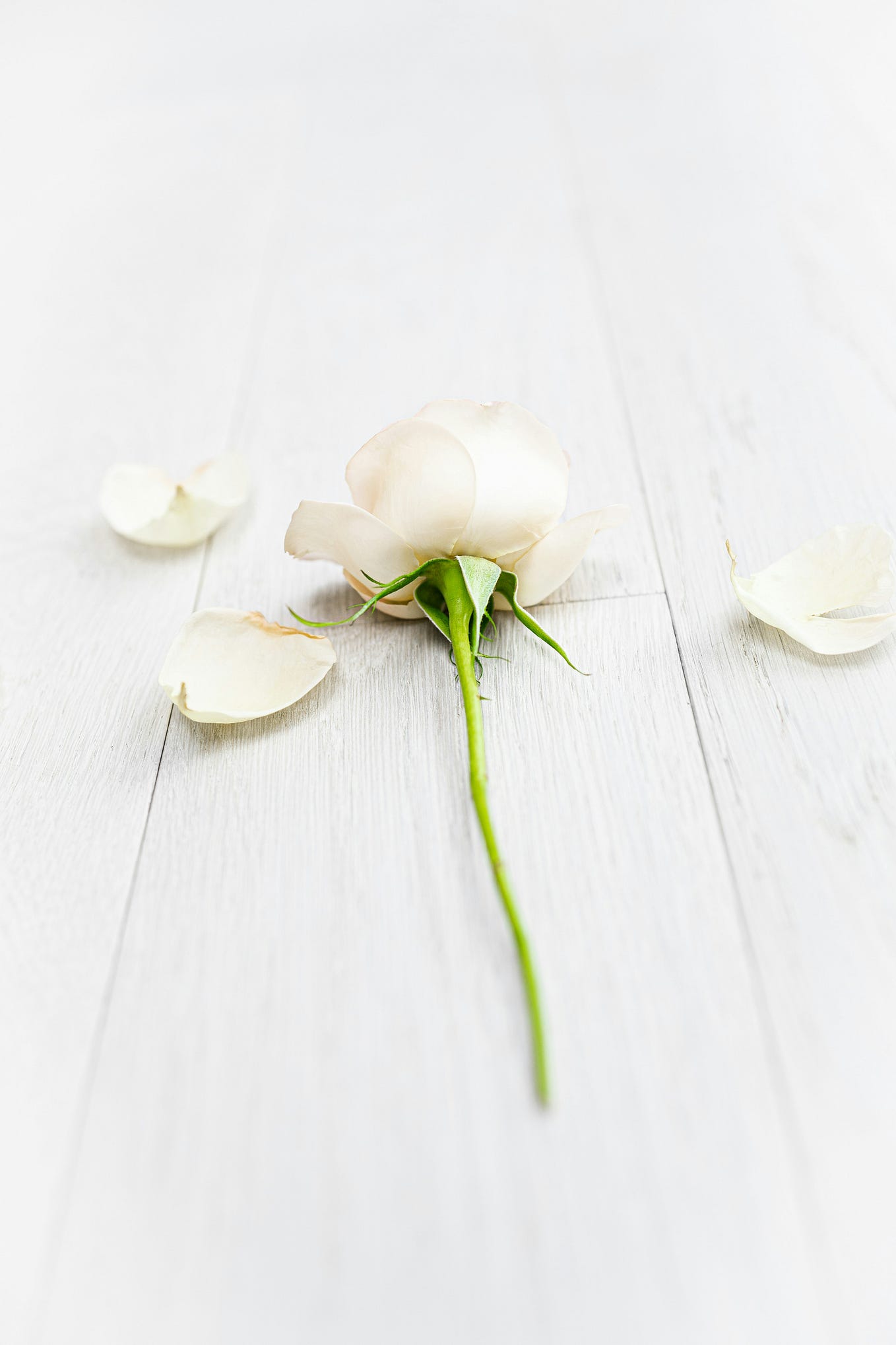 6 Ways to Move-On, When You Still Love Them | by Deepika | Darling, You ...