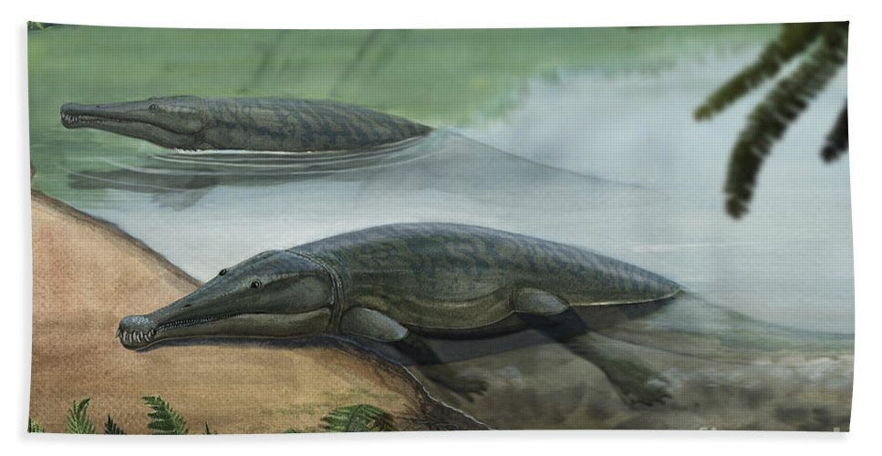 The Permian Mass Extinction Event | by Exploring Deep Time | Medium