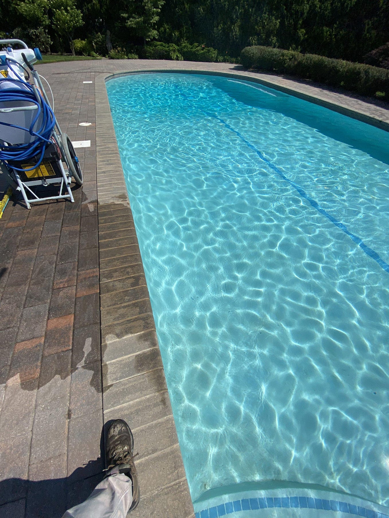 A Comprehensive Guide On Vacuuming Your Above-Ground Pool | by Oscar ...