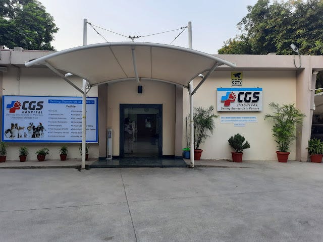 Grooming Services For Pets in Gurgaon | CGS Hospital - cgs hospital ...