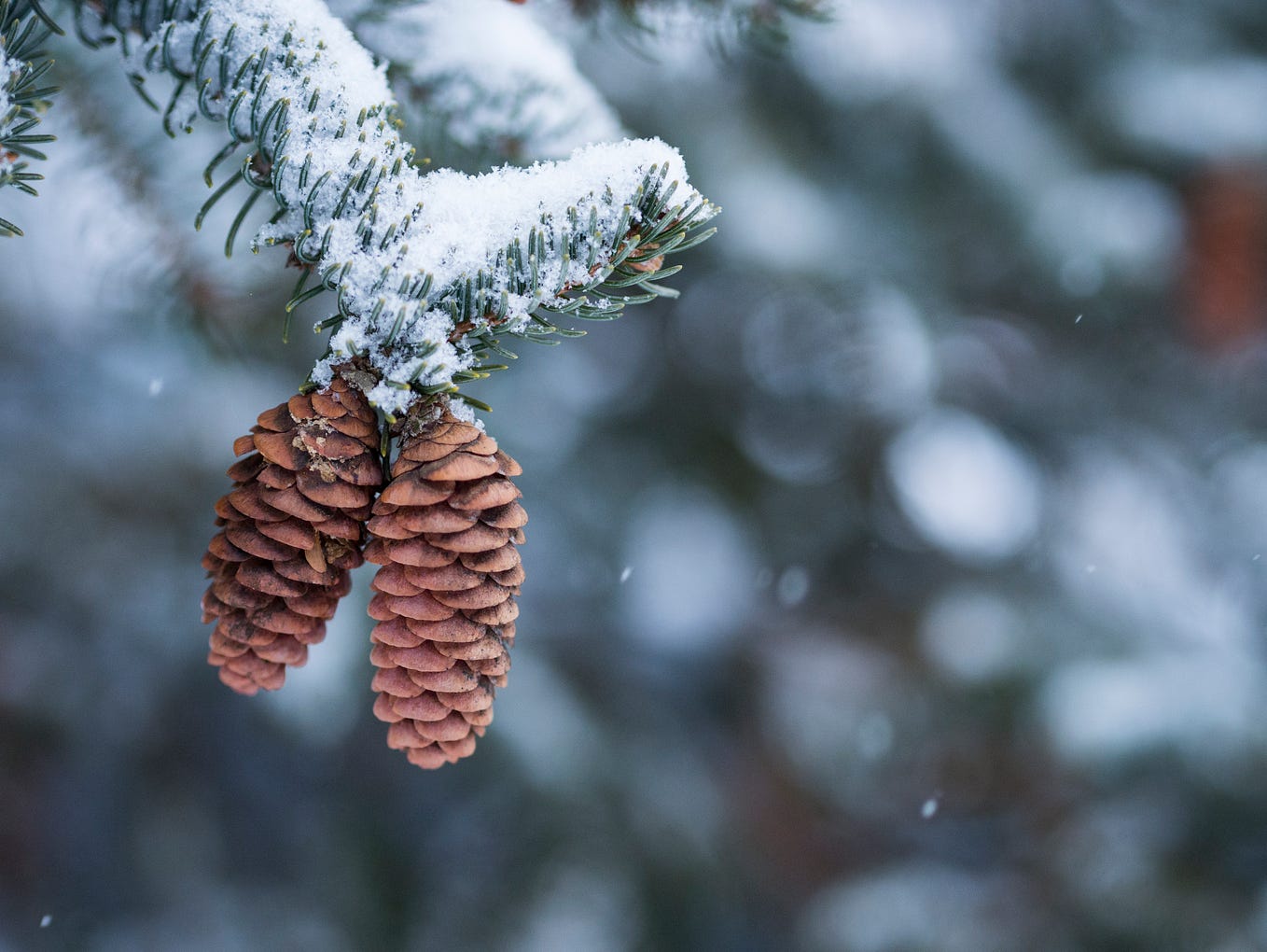 Talk To Your Text Files In A Pinecone Vector Databases With Gpt 4 A Step By Step Tutorial
