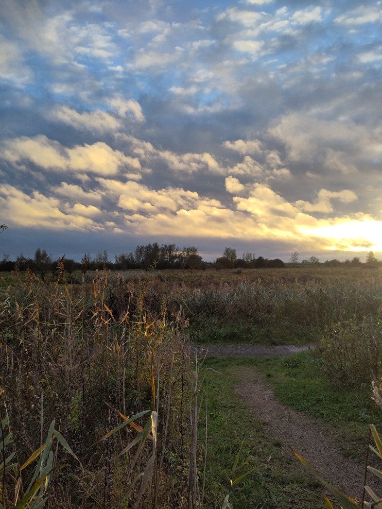 Remembering Witches. The “England’s Mass Witch Hunt” project… | by ...