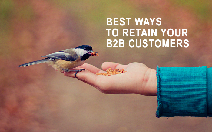 What’s the Difference Between B2C and B2B Loyalty Programs? | by ...