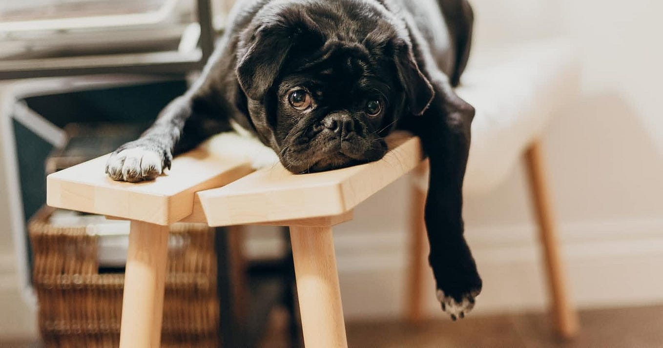 Dependency Injection (DI) in Android: A Comprehensive Guide | by Abou Zuhayr | Medium