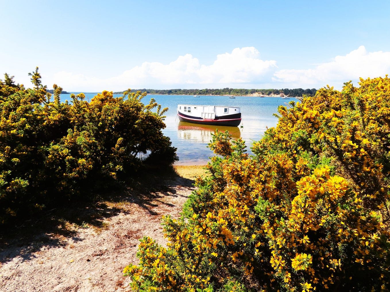 My brain lacks oxygen, Penny. I never know when misspelling will occur ...