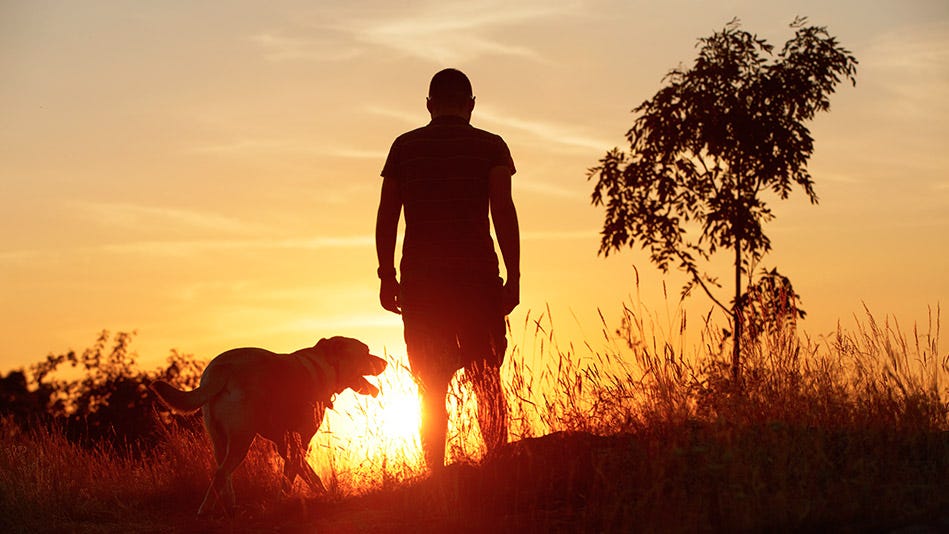 NPM as a build tool for a Python Project | by Pubudu Dodangoda | HackerNoon.com | Medium