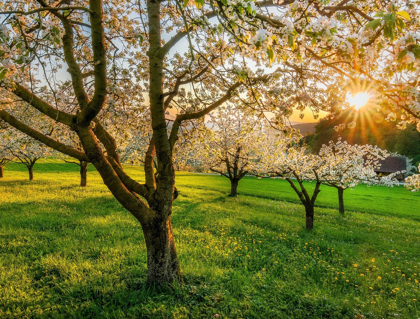 Boosting Algorithms In Machine Learning Part Ii Gradient Boosting By Gurjinder Kaur Nov