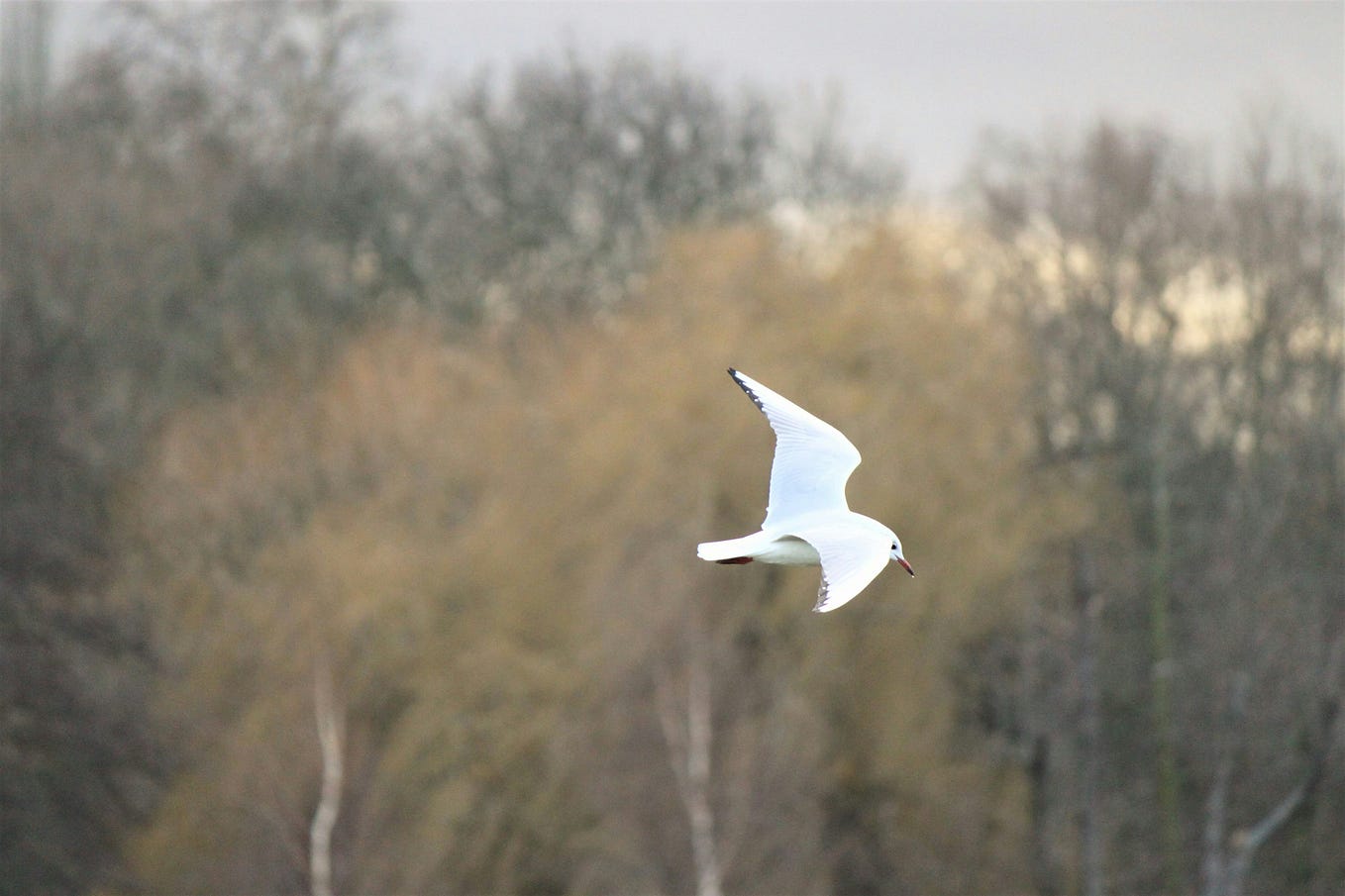 The Process of Designing a Custom Data Structure | by Jimmy M Andersson ...