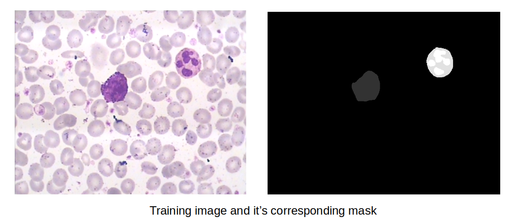 Data Visualization simple EDA: Plotting multiclass labels using Matplotlib | by Deekshitha DP ...