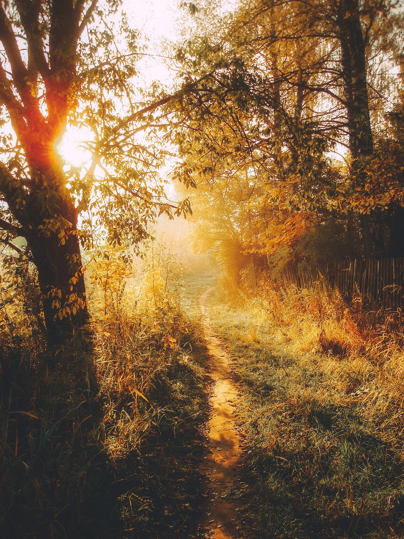 A BEGINNER’S GUIDE TO TIME TRAVEL | by Littlebrother | Medium