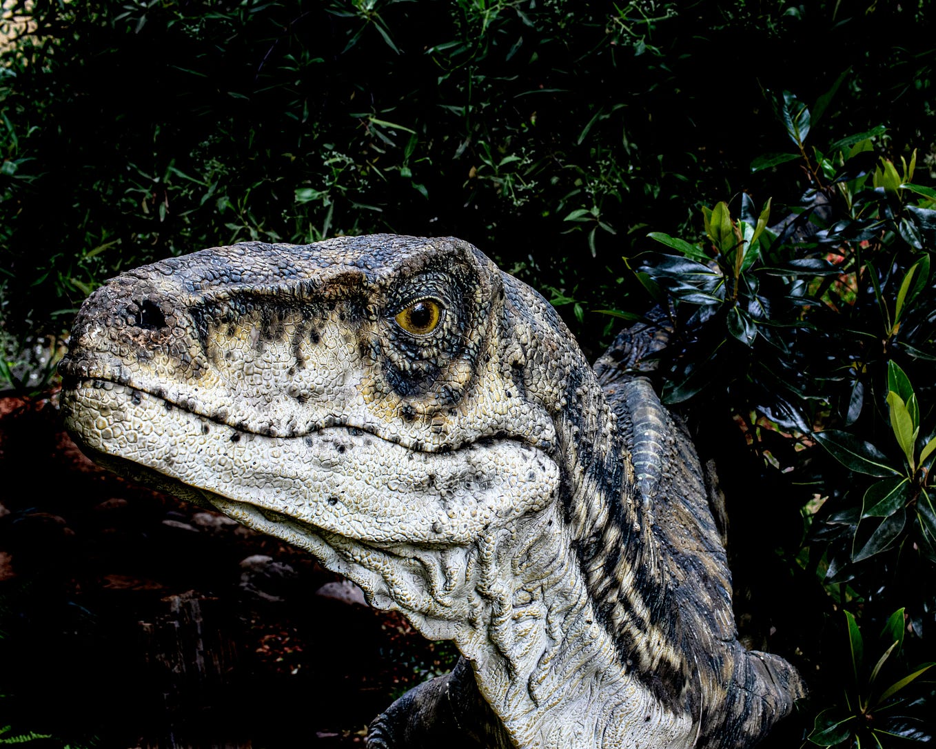 Horns, Beaks & Impressive Frills: The Mighty Ceratopsians | by Panos ...