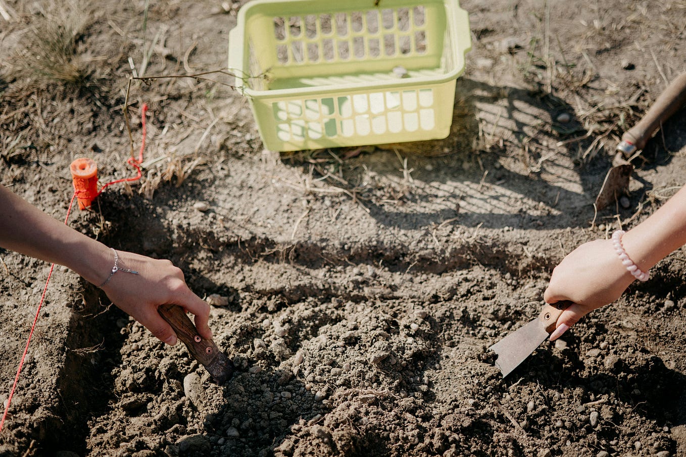 Explaining Interfaces in C# OOP | Medium