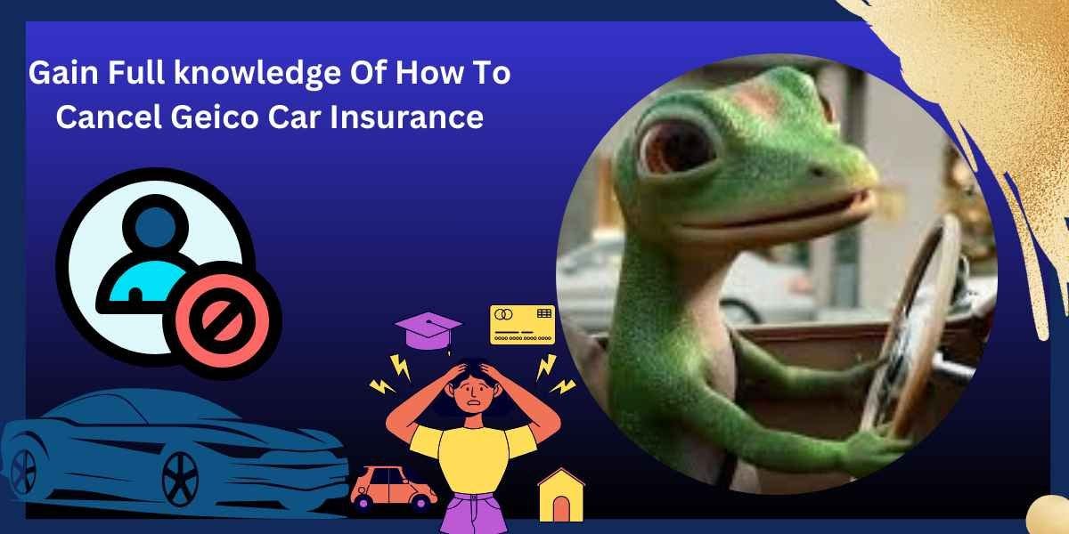 Harley Davidson Insurance- Comprehensive Guide | by Treasury Preserve ...