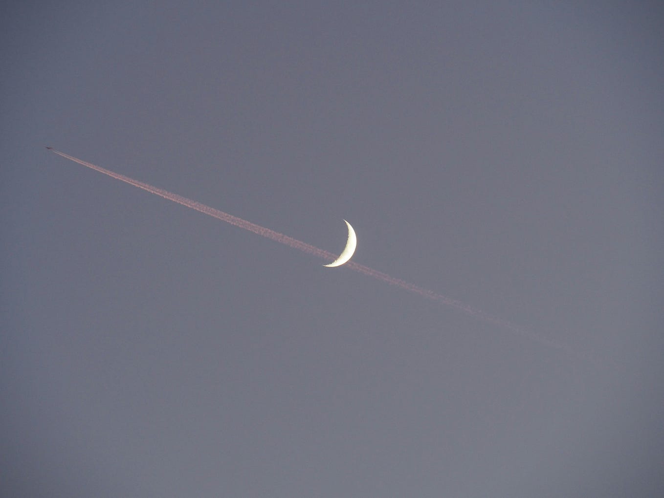 How to Train Your Distracted AF Self: | by Rakean Radya Al Barra | Jun ...