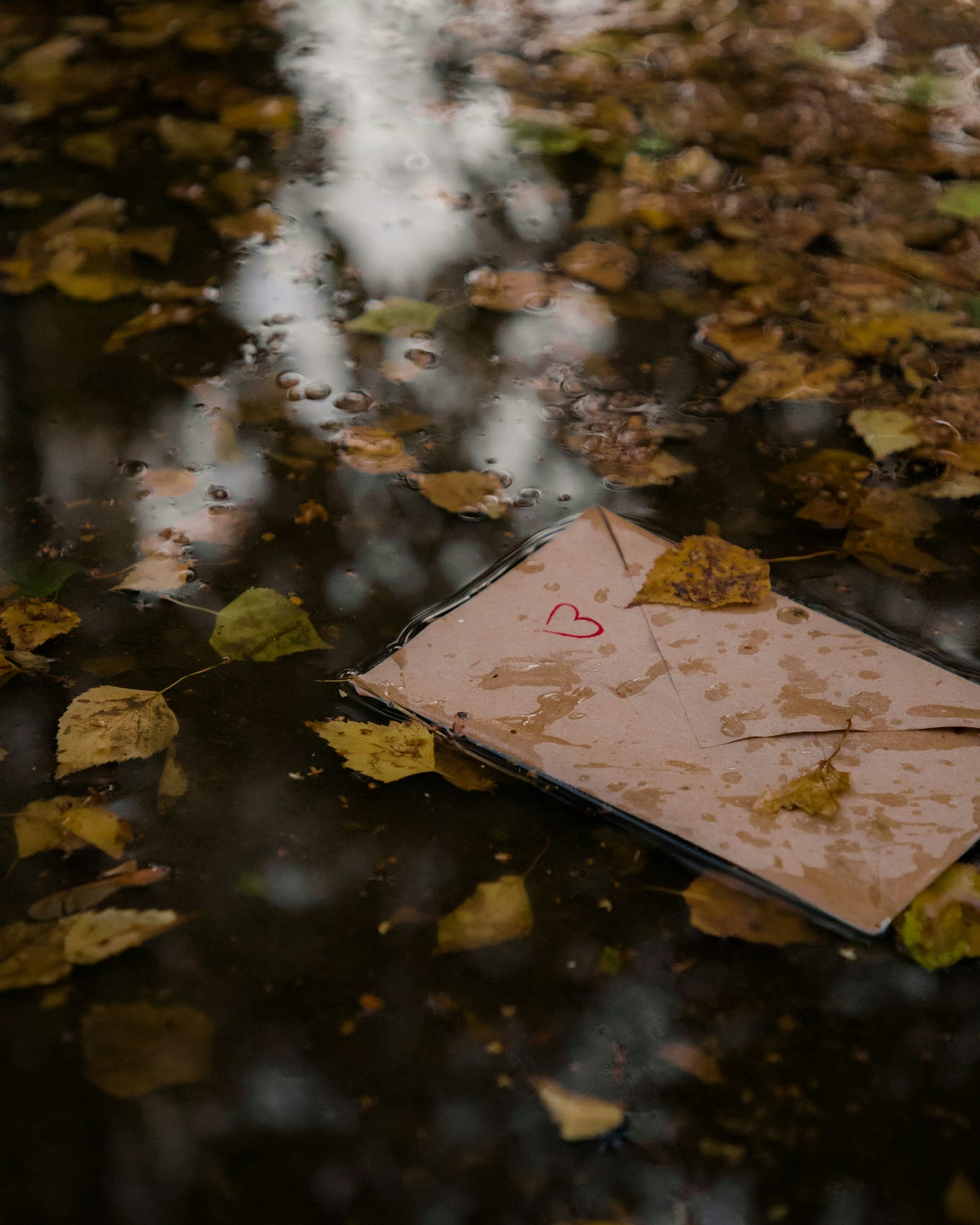 Short Life. An emotional short story | by 𝘔𝘶𝘨𝘩𝘦𝘦𝘴 𝘸𝘳𝘪𝘵𝘦𝘴 | Magical ...