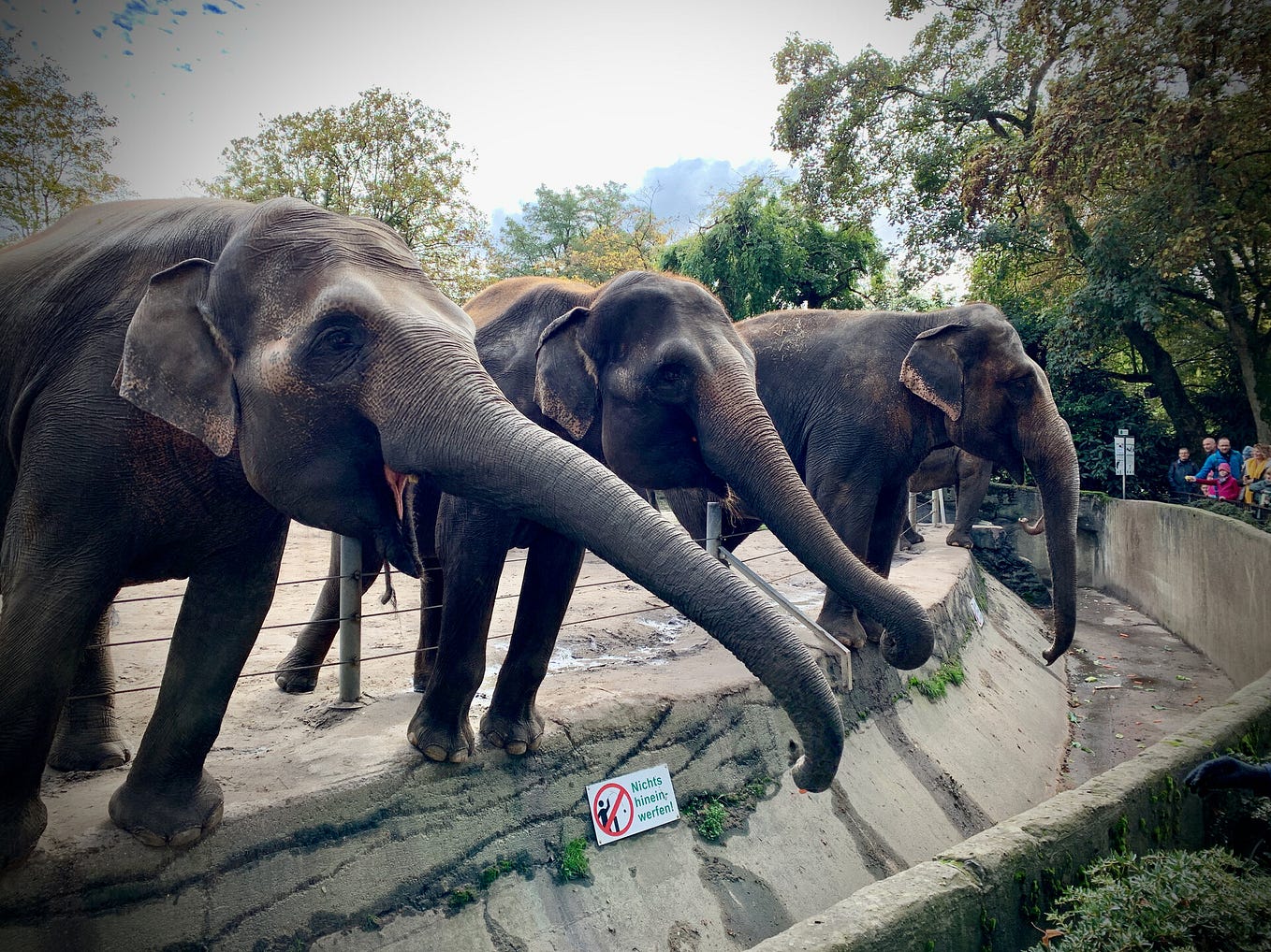 Name Mangling in Kotlin. Let’s discover two scenarios where name… | by Nicola Corti | ProAndroidDev