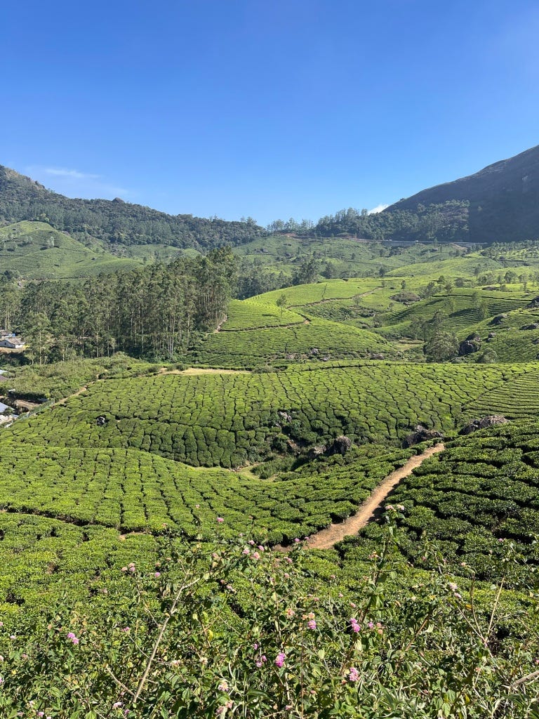 Bangalore ~ Kannur ~ Kochi — A road trip that spanned over 1300 kms. across coastal Kerala 🚗 ...