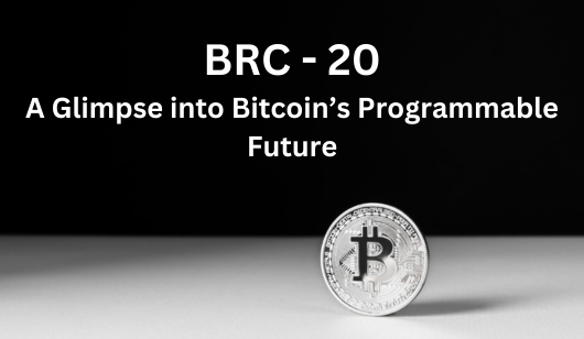 BRC-20 Tokens. Innovations in the rapidly developing… | by Azeem Alamgir | Jan, 2024 | Medium