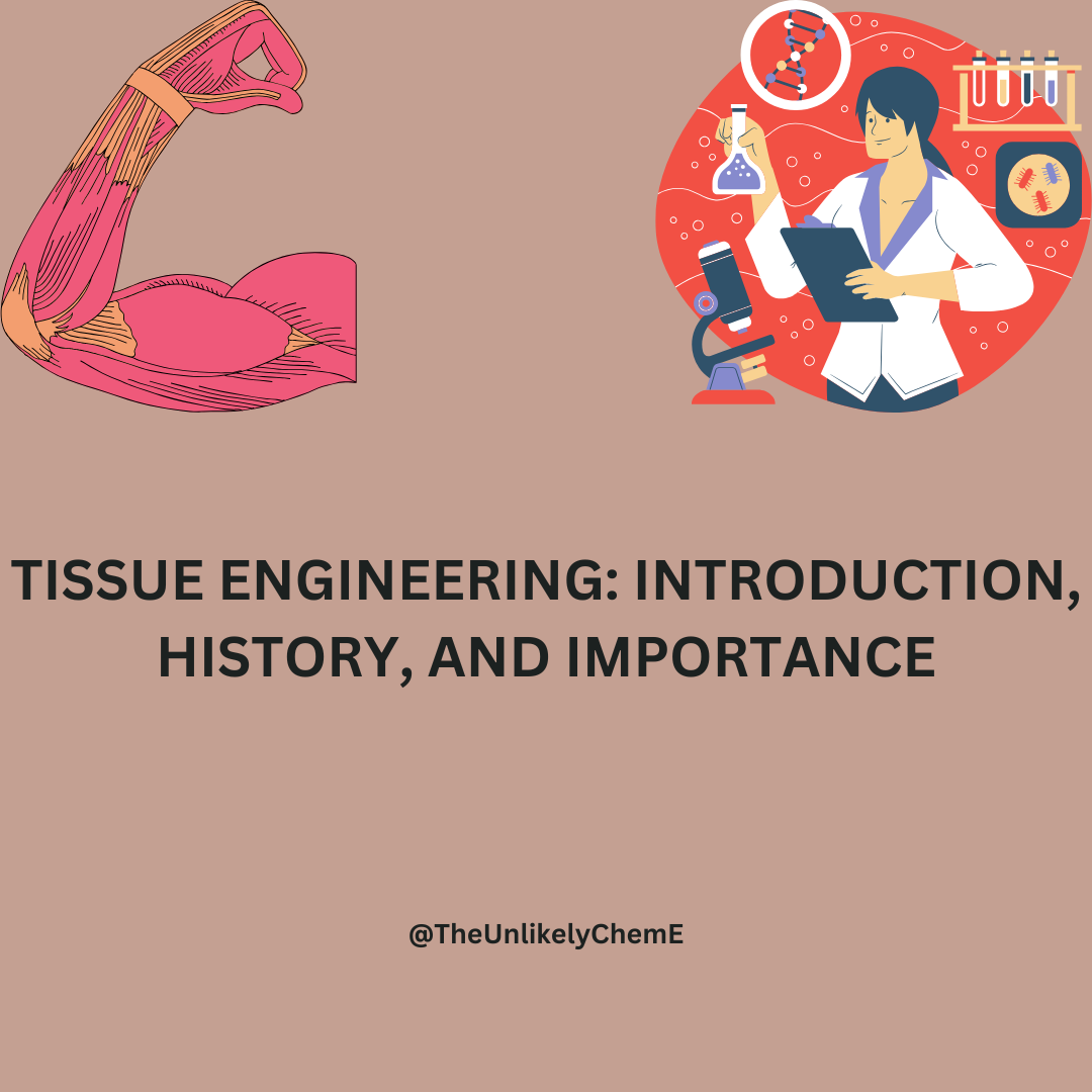 Tissue Engineering: Key Principles and Terminologies | by Oluwatobi ...