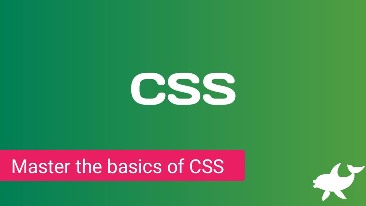 How to host a website on your PC | Access the website on the Lan ...