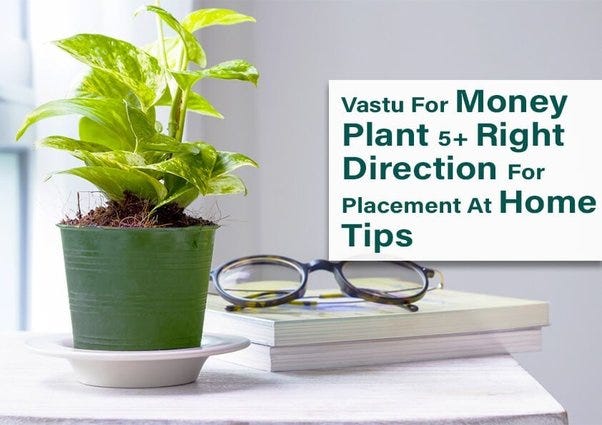 5+ Best North East Corner Vastu Remedies To Correct Vastu Doshas In ...