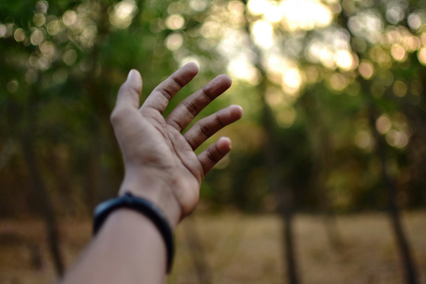 What makes a good role model?. A role model can be a great leader… | by ...