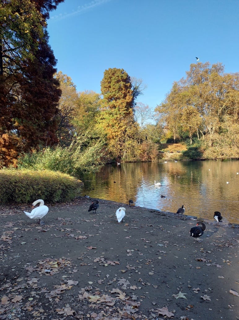 Understanding Regular Expressions Part 4 By Adam Shaffer Javascript In Plain English