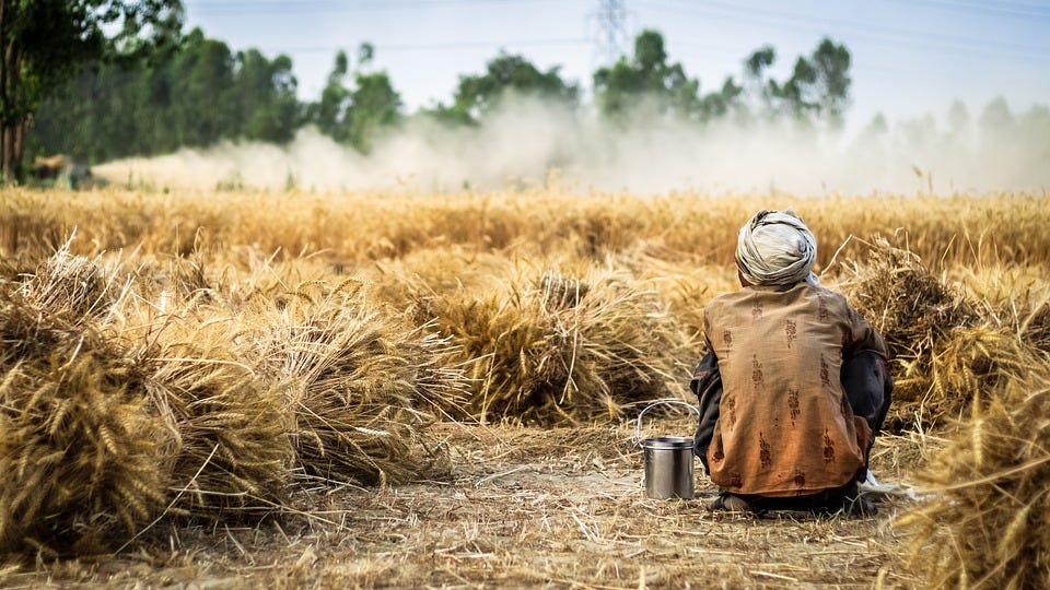Star constellations & agriculture | by Harvesting’ Blog | Harvesting ...