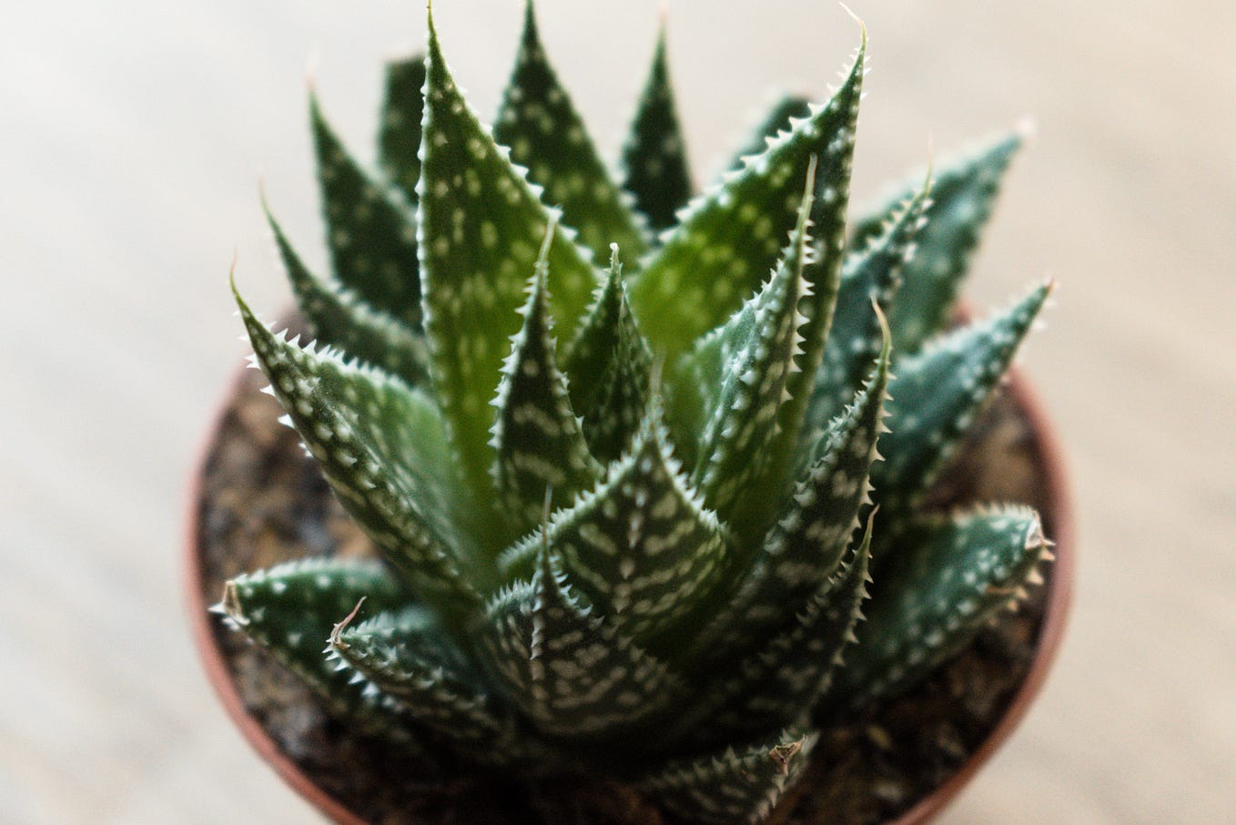 The Mechanism of an Affair. Unraveling the Intricacies and Impact… | by ...