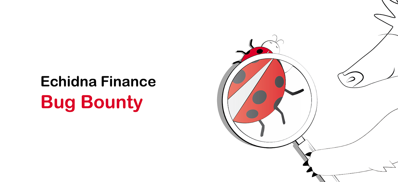 What is Echidna Finance?. Read more about our mission to become… | by Echidna Finance | Medium