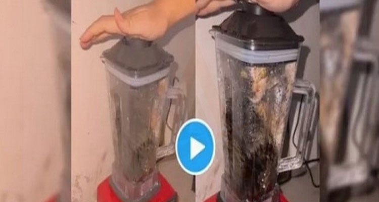 The Controversial Video: The Shocking Truth Behind The Viral Footage ...
